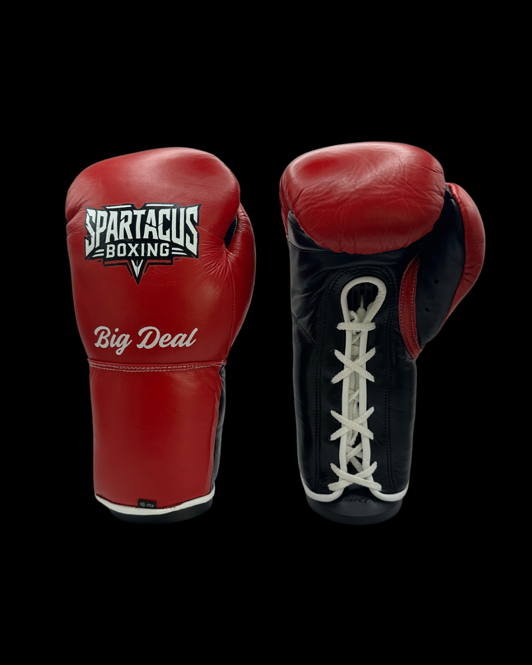 Premium Boxing Gloves – Spartacus Boxing